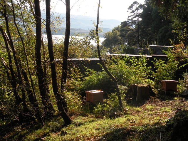 Ardnamurchan Project