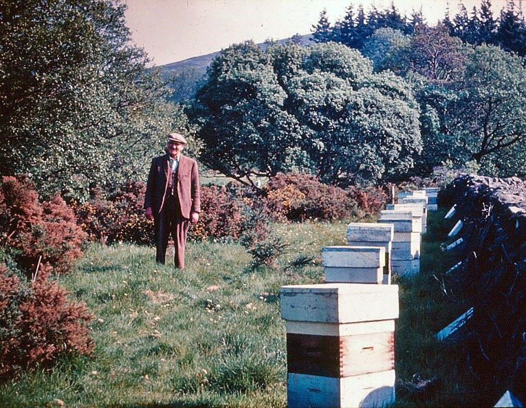 History of the Native Honey Bee in Scotland