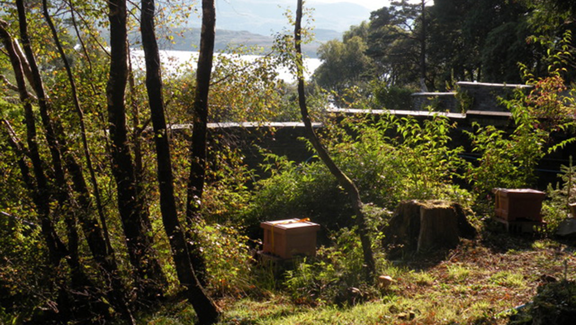 Promoting the conservation, maintenance, breeding and study of the ...